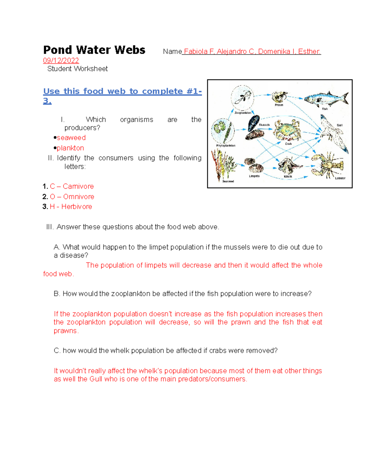 Ecosystem Energy: Pond Food Web Analysis - Worksheet Activities - Studocu