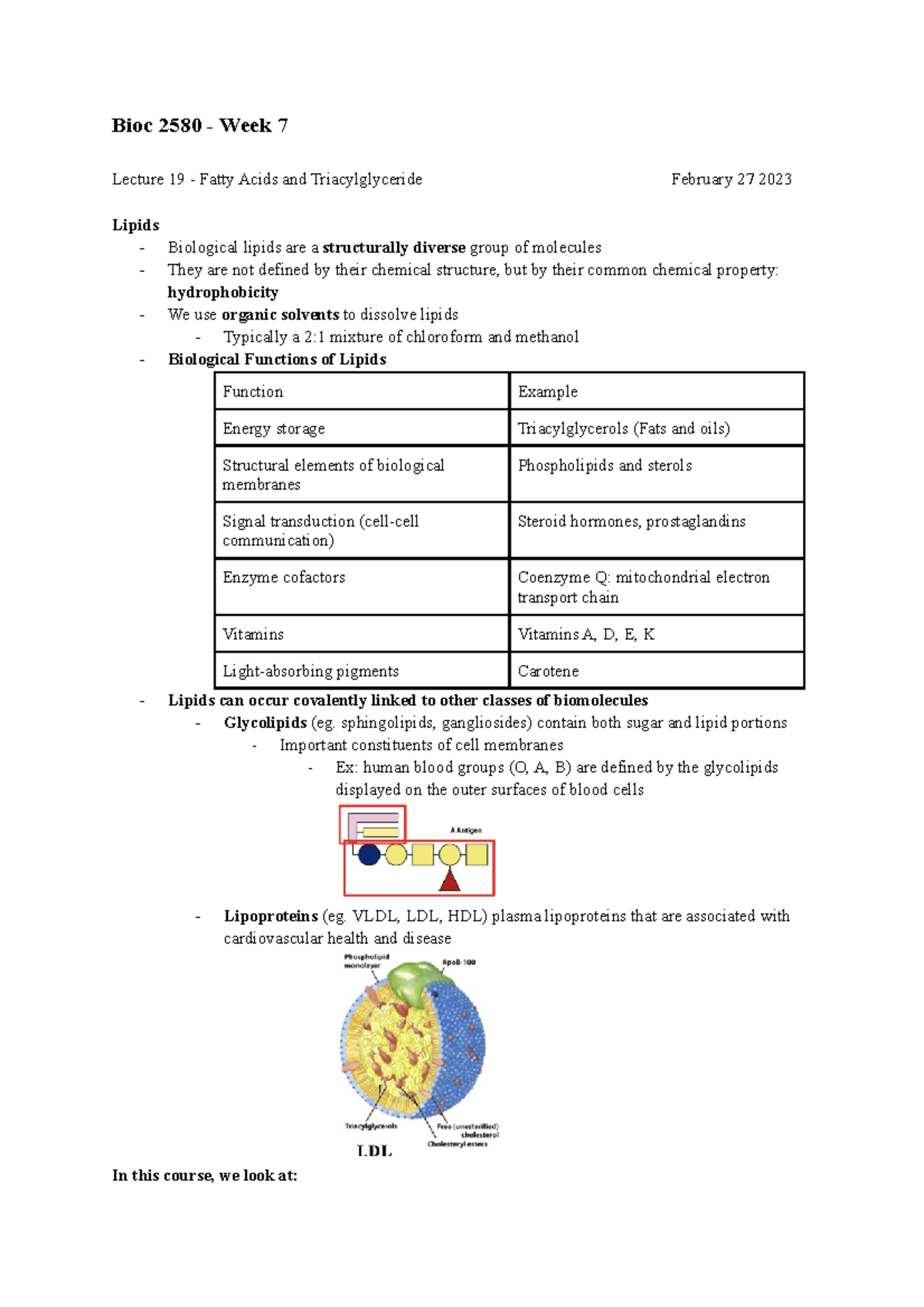 Bioc 2580 Notes - Lecture 19 & 20: Fatty Acids, Lipids & Sweet Sugars ...