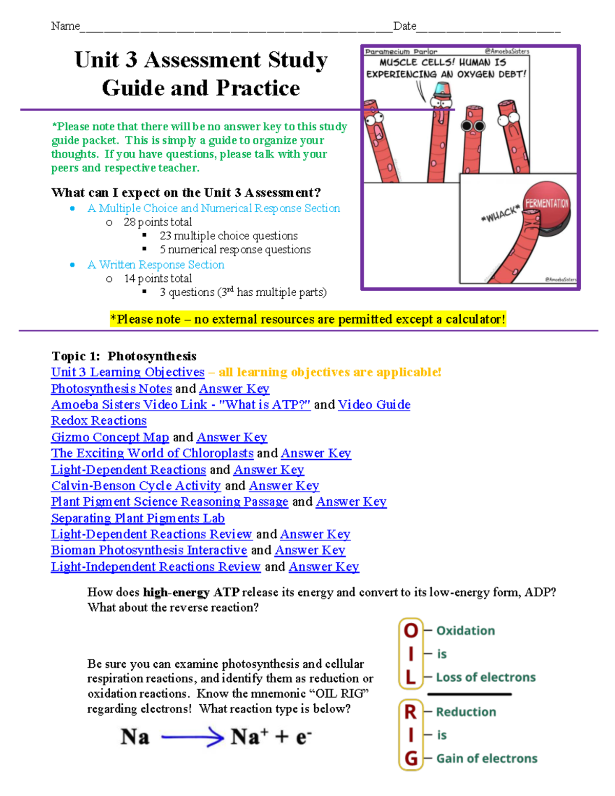 Unit 4 Assessment Study Guide: Photosynthesis, Respiration & Muscles ...