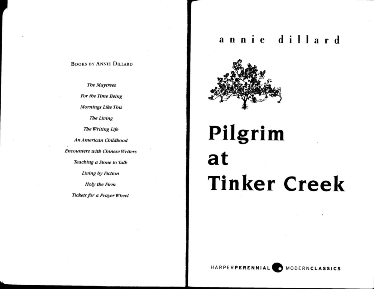Annie Dillard's "Seeing" - Insights from Pilgrim at Tinker Creek - Studocu