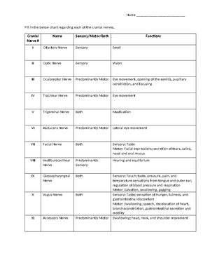 Autonomic Nervous System Worksheet BIO 252 - Name ...