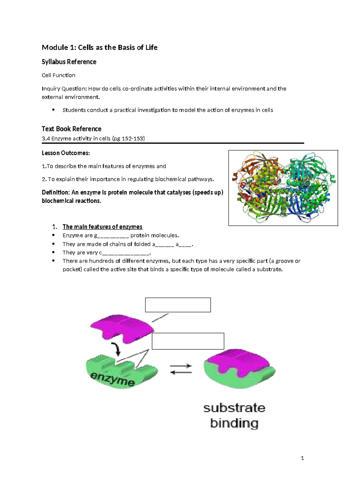 Module 1: Cells & Enzymes - Syllabus & Key Concepts Notes - Studocu