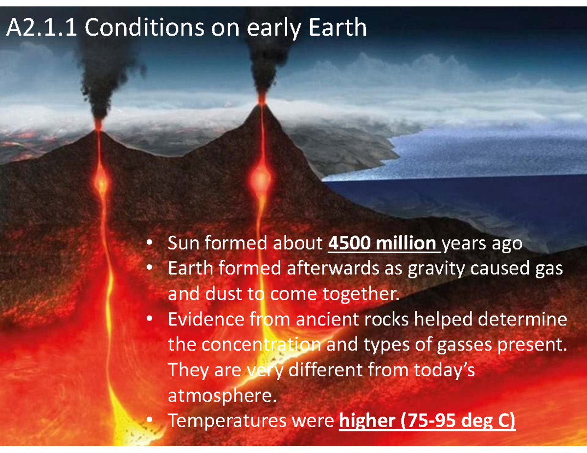 A2.1: The Last Universal Common Ancestor (LUCA) & Life's Origin - Studocu