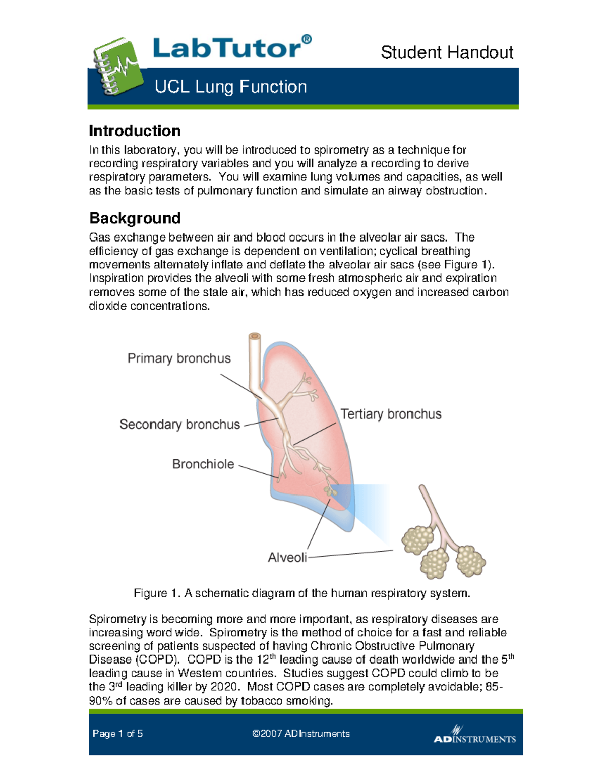 Lung Function Student Handout - UCL Lung Function Introduction In this ...