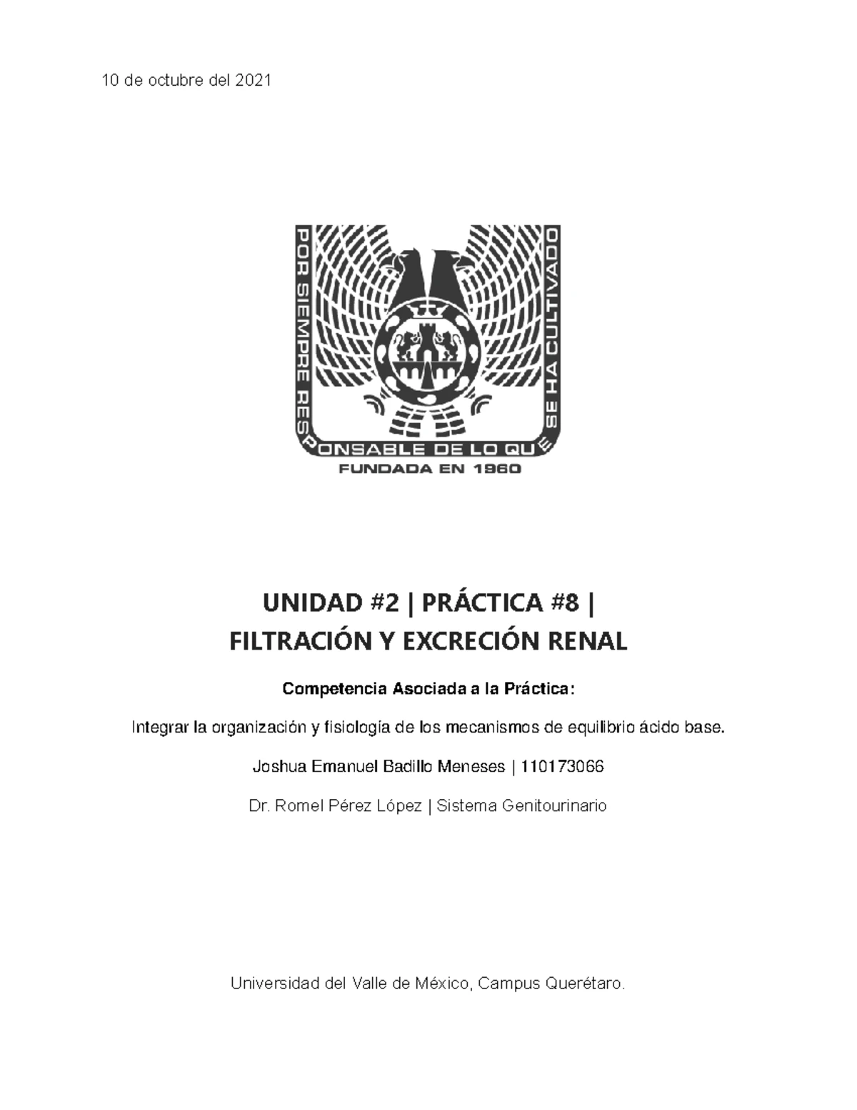 Cálices y uréteres - Uréteres y cálices menores y mayores Raymundo ...