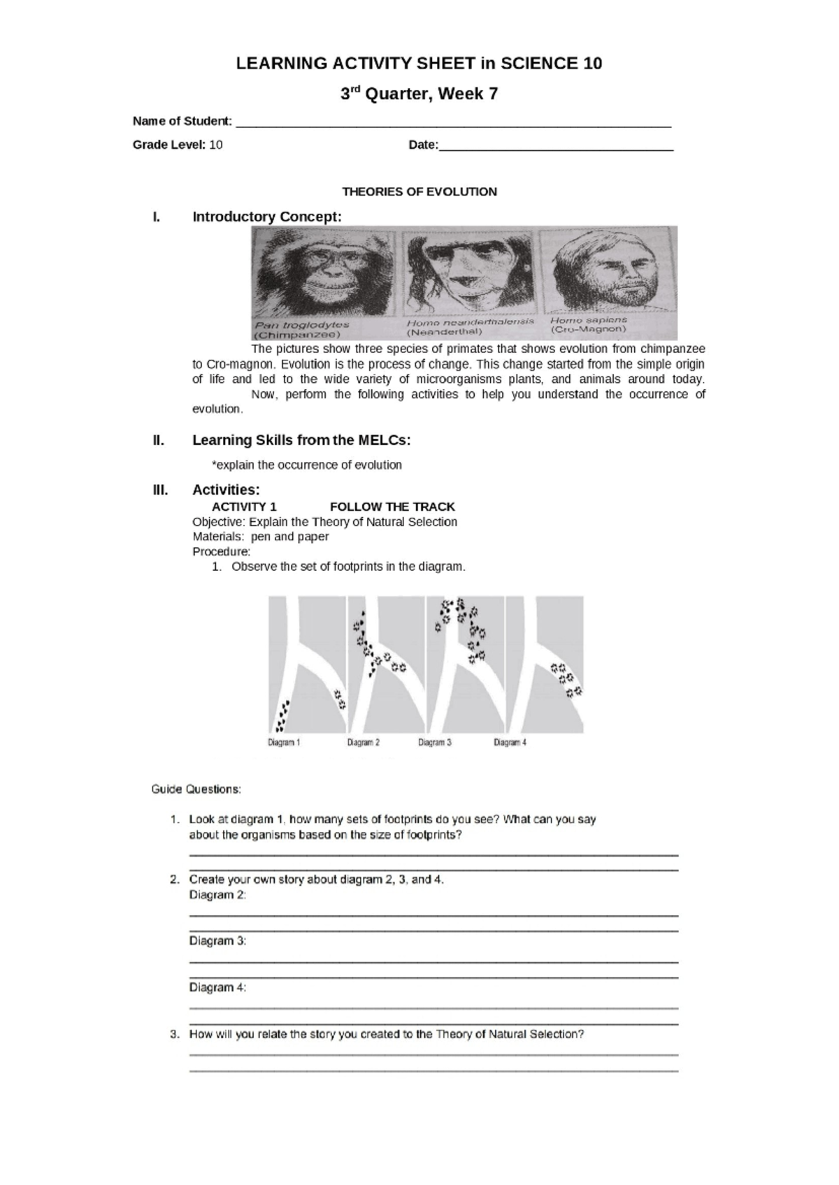 Activity-on-evolution - LEARNING ACTIVITY SHEET in SCIENCE 10 3rd ...