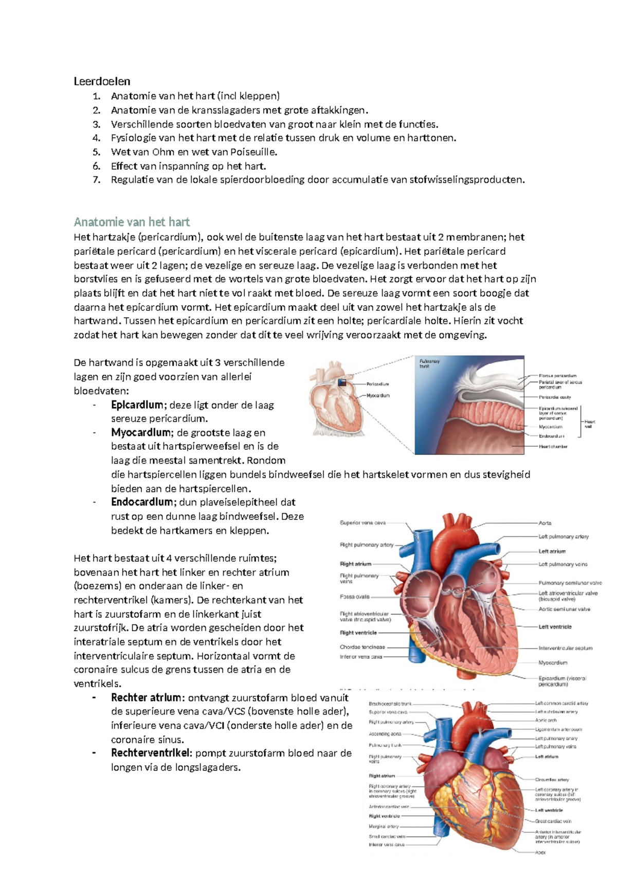 Casus 1 - Anatomie en Fysiologie van het Hart & Vaten - Studeersnel