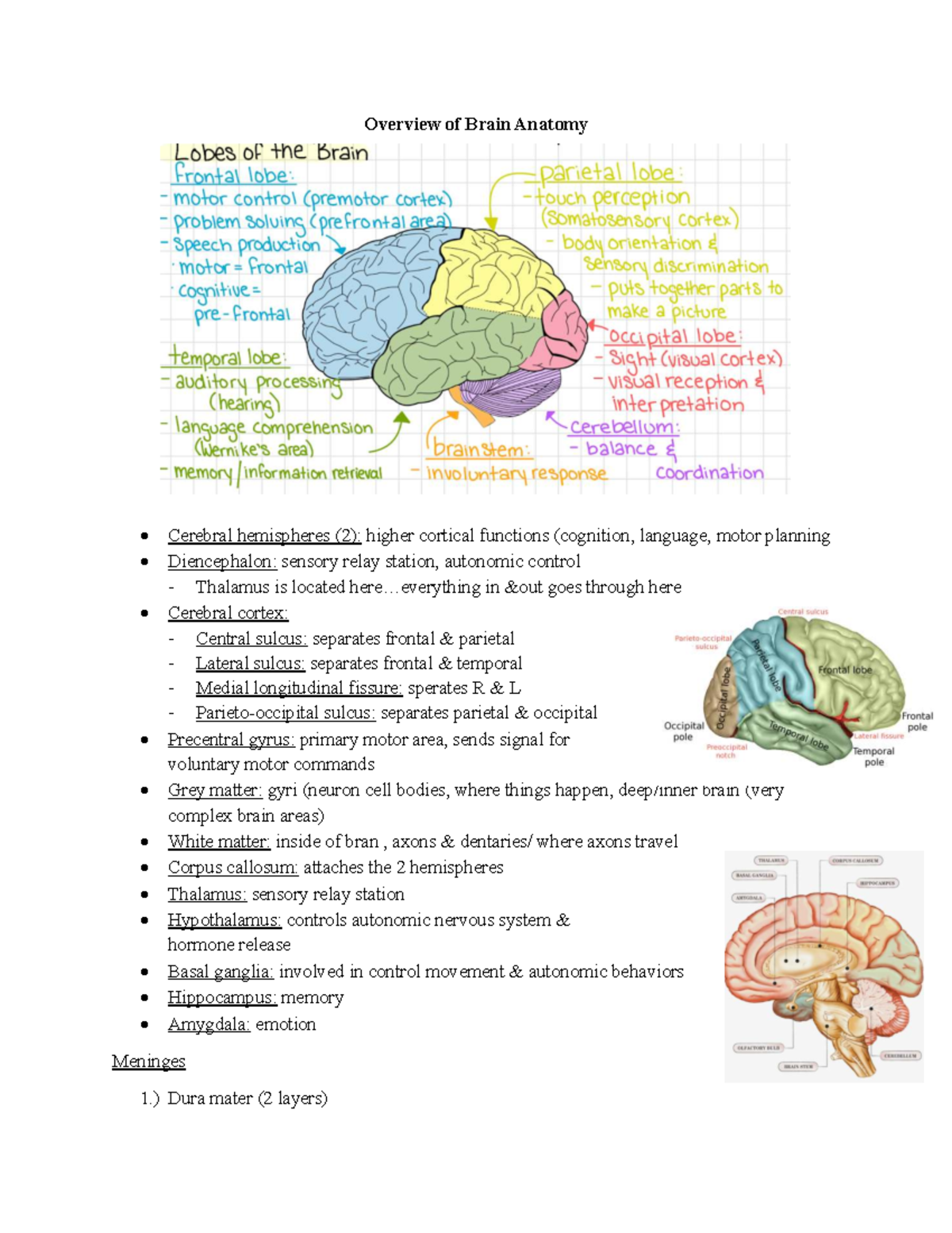 Cognitive Functions in Occupational Therapy (OT): A Comprehensive ...