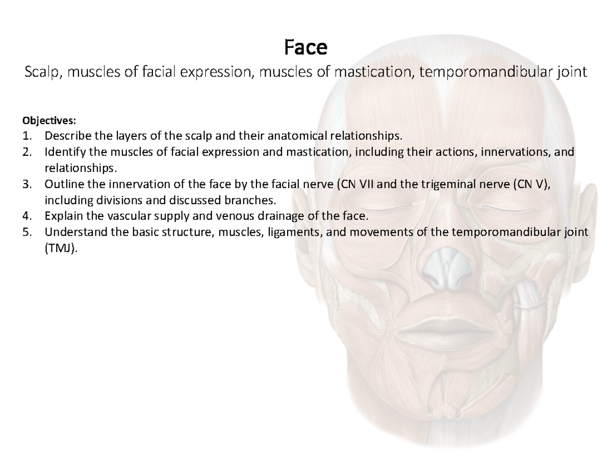 Muscles of Facial Expression & Innervation (CN VII) - Scalp & TMJ ...