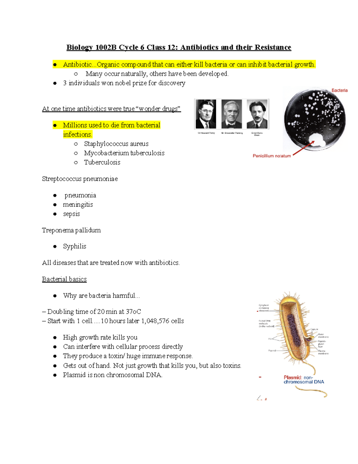 Biology 1002B Cycle 6 Class 12: Antibiotics & Resistance Overview - Studocu