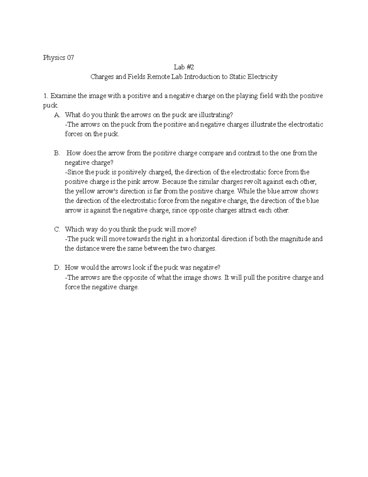 Physics 7 Lab #2 Charges and Fields Remote Lab Introduction to Static ...