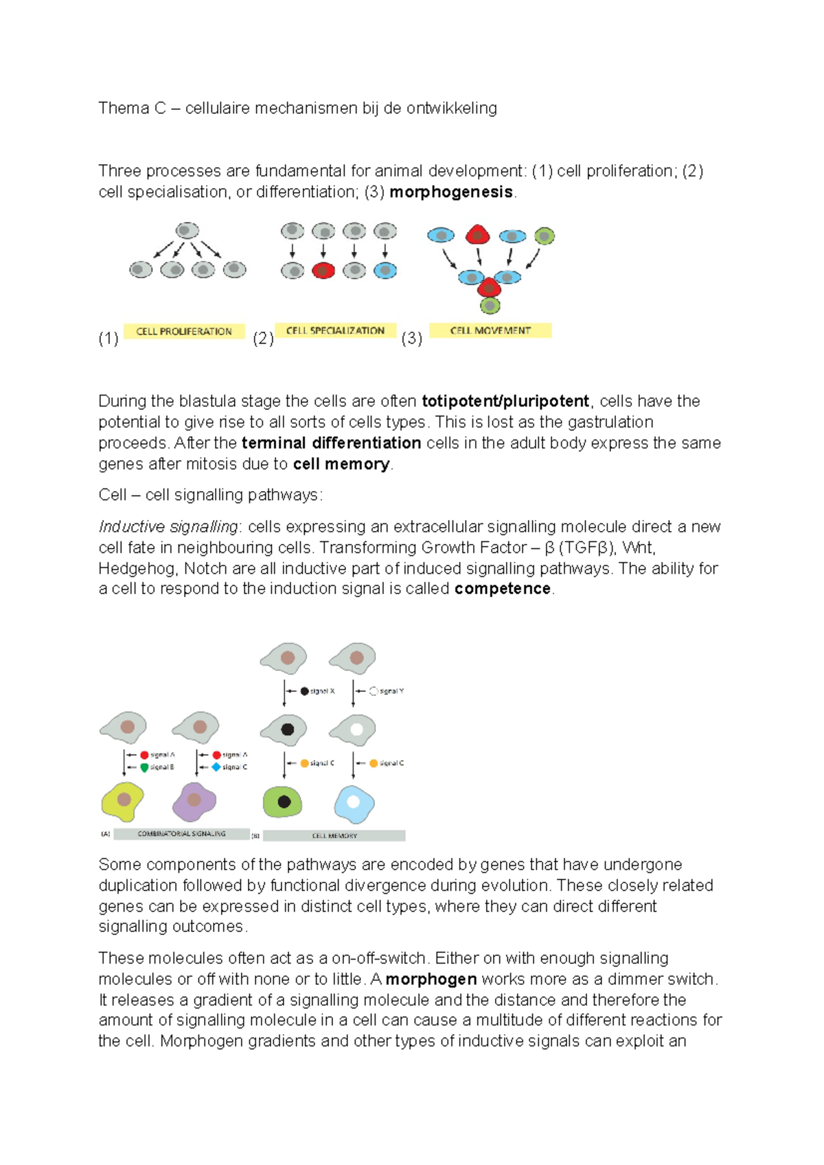 Thema C – Celulaire Mechanismen in Dierlijke Ontwikkeling en ...