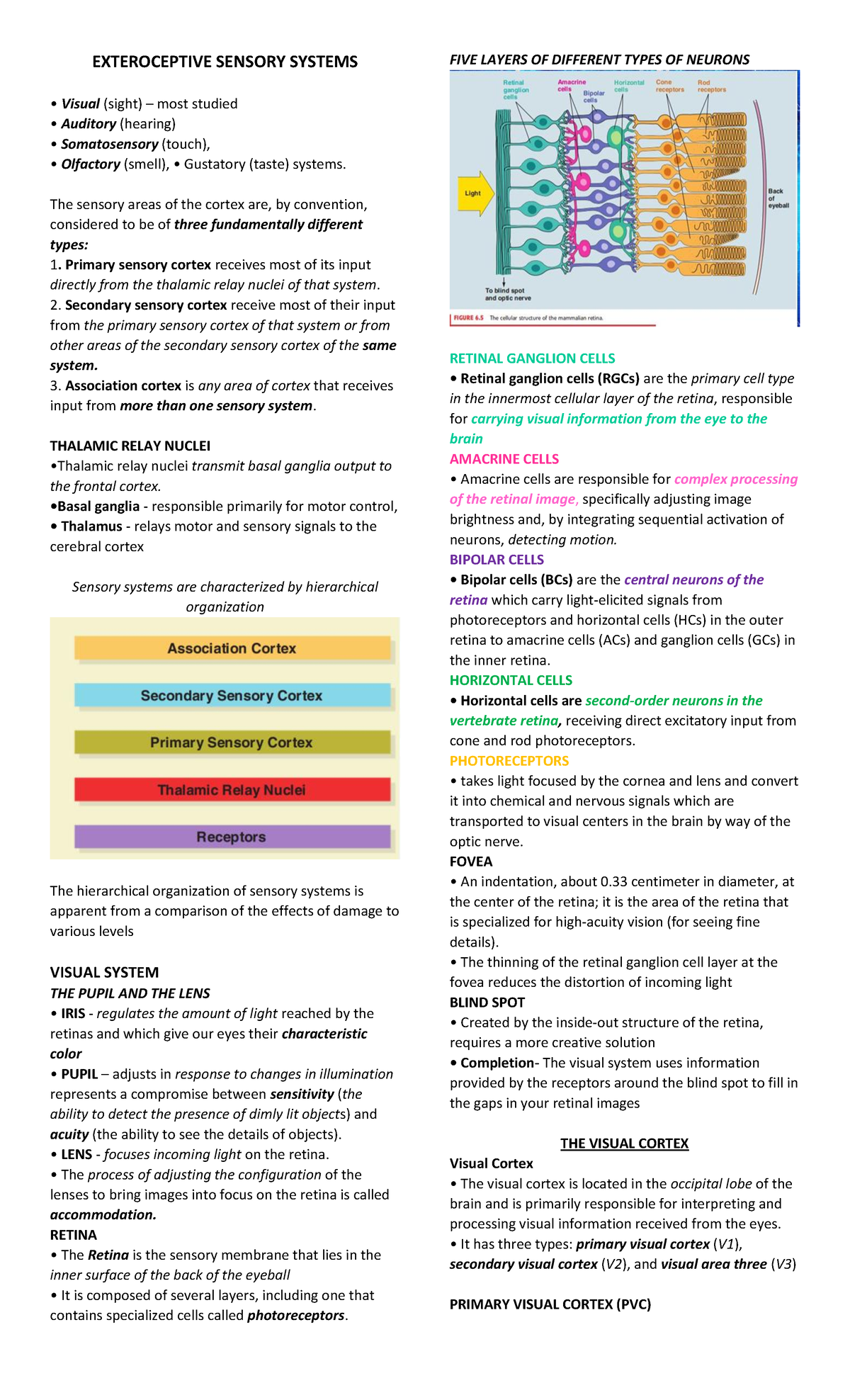 Biopsych sensory reviewerfm vmf - EXTEROCEPTIVE SENSORY SYSTEMS Visual ...