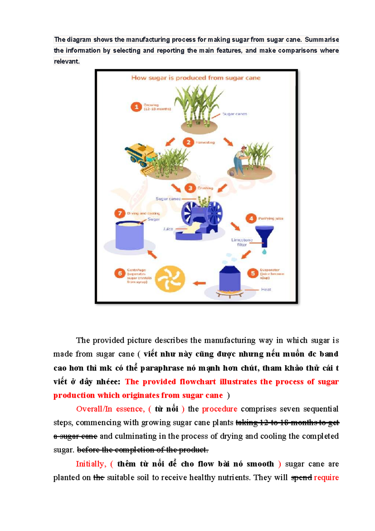 IELTS Writing Task 1: Sugar Production Process from Sugar Cane - Studocu