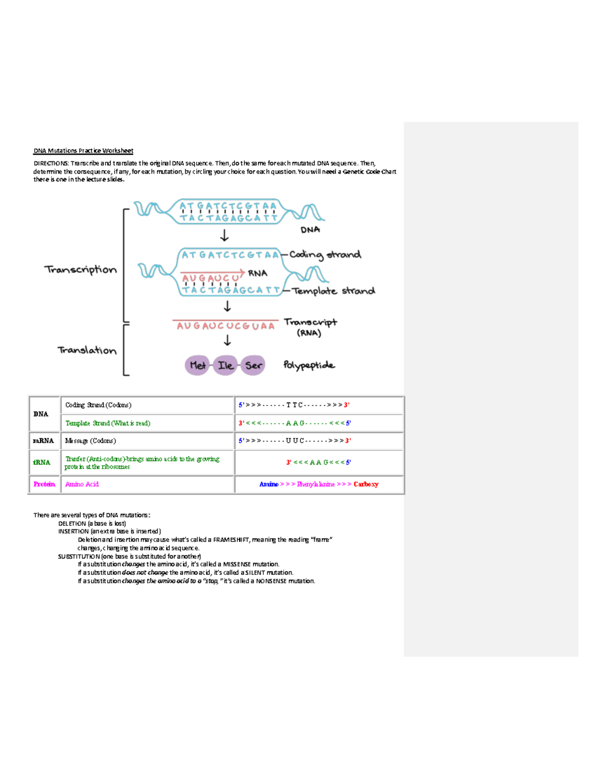 DNA Mutations Practice Homework - DNA Mutations Practice Worksheet ...
