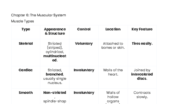 Chapter 6: The Muscular System - Muscle Types and Functions (BIO101 ...