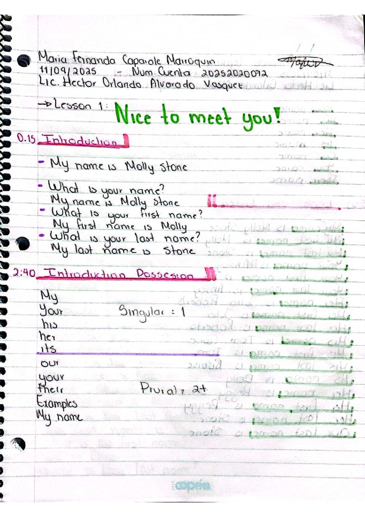 IT 20252020072 Lesson 1: Nice to Meet You - Introduction to Names - Studocu