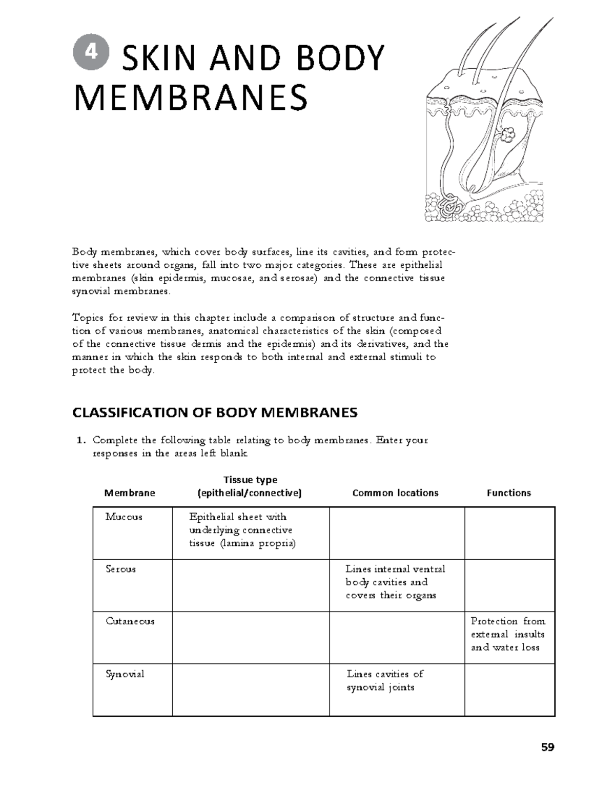 Activity Worksheet for Chapter 4: Skin & Body Membranes Analysis - Studocu