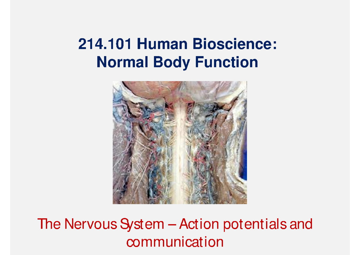 214.101 Human Bioscience: Nervous System - Action Potentials & Signal ...