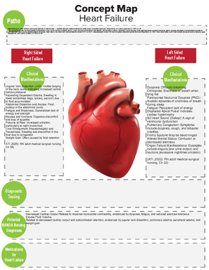 Concept Map Heart Failure-V2 - nur 211 - Right Side Heart Failure ...