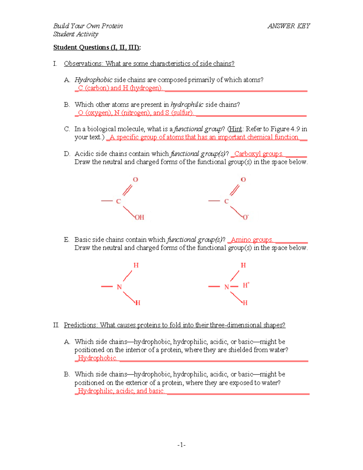 3b Protein Folding In Class Worksheet Key-1 - Student Activity Student ...