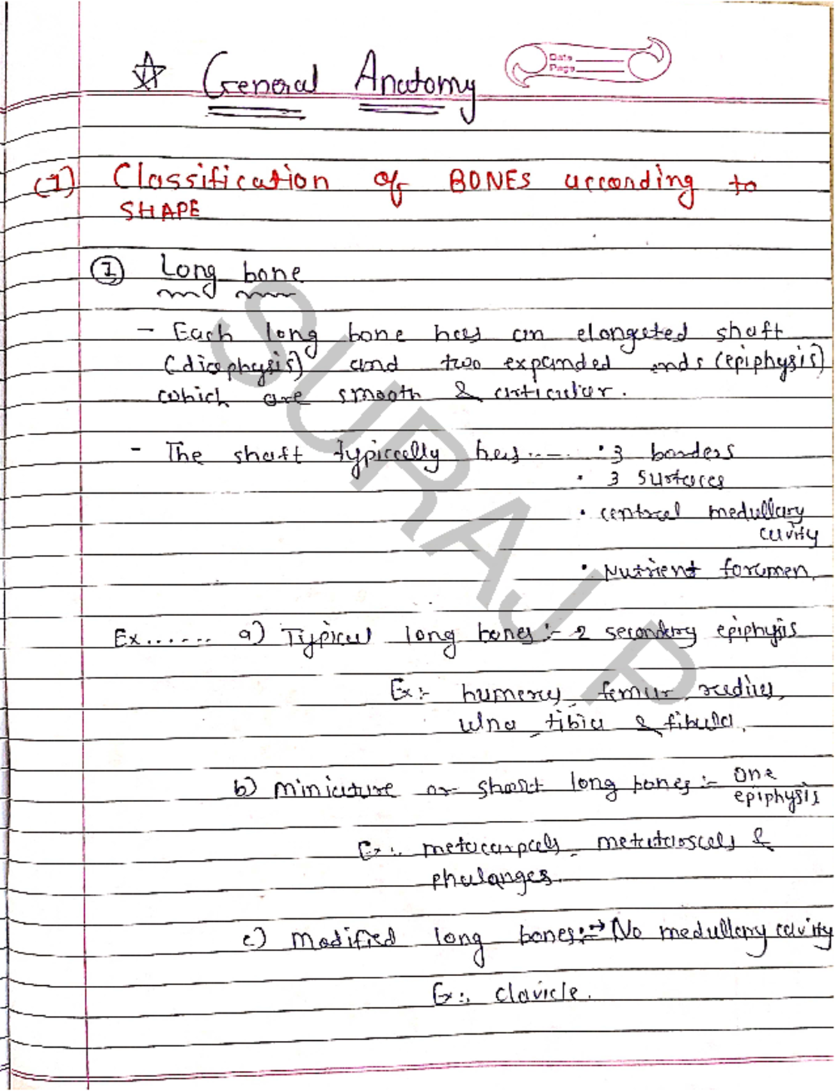 General anatomy notes - Basic Sciences (Anatomy & Physiology) Including ...