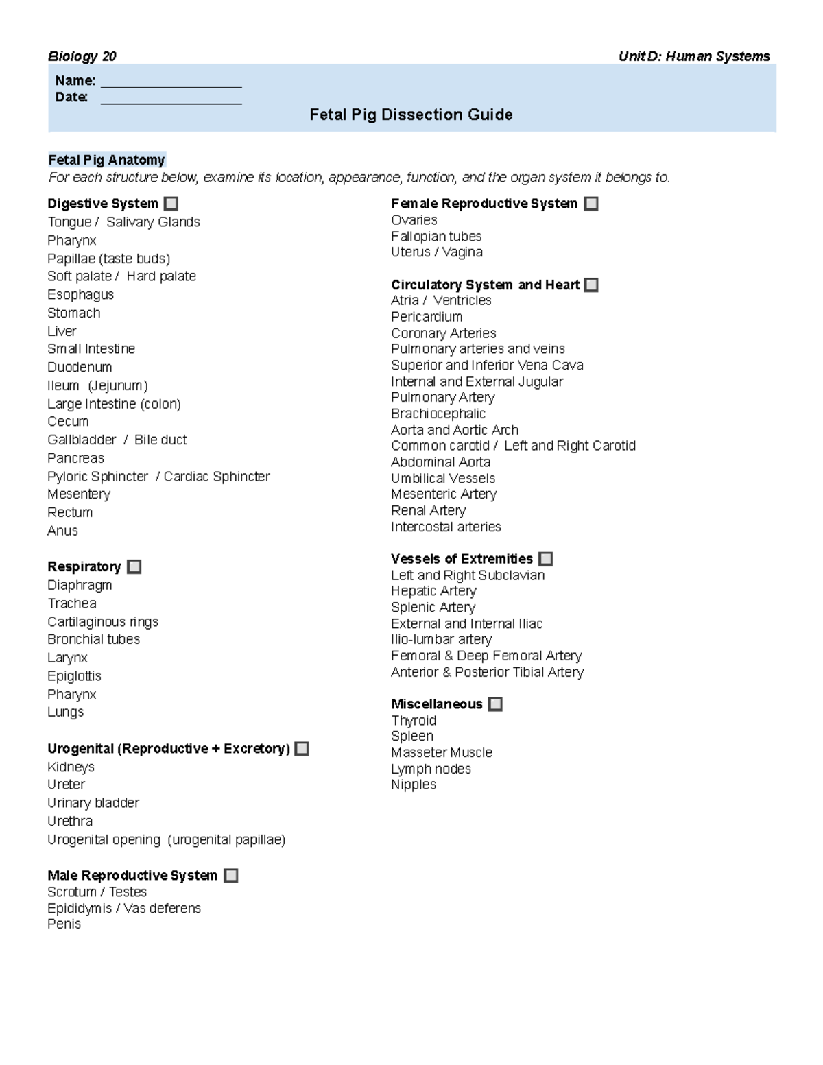 Bio 20: Fetal Pig Dissection Guide and Anatomy Overview - Studocu