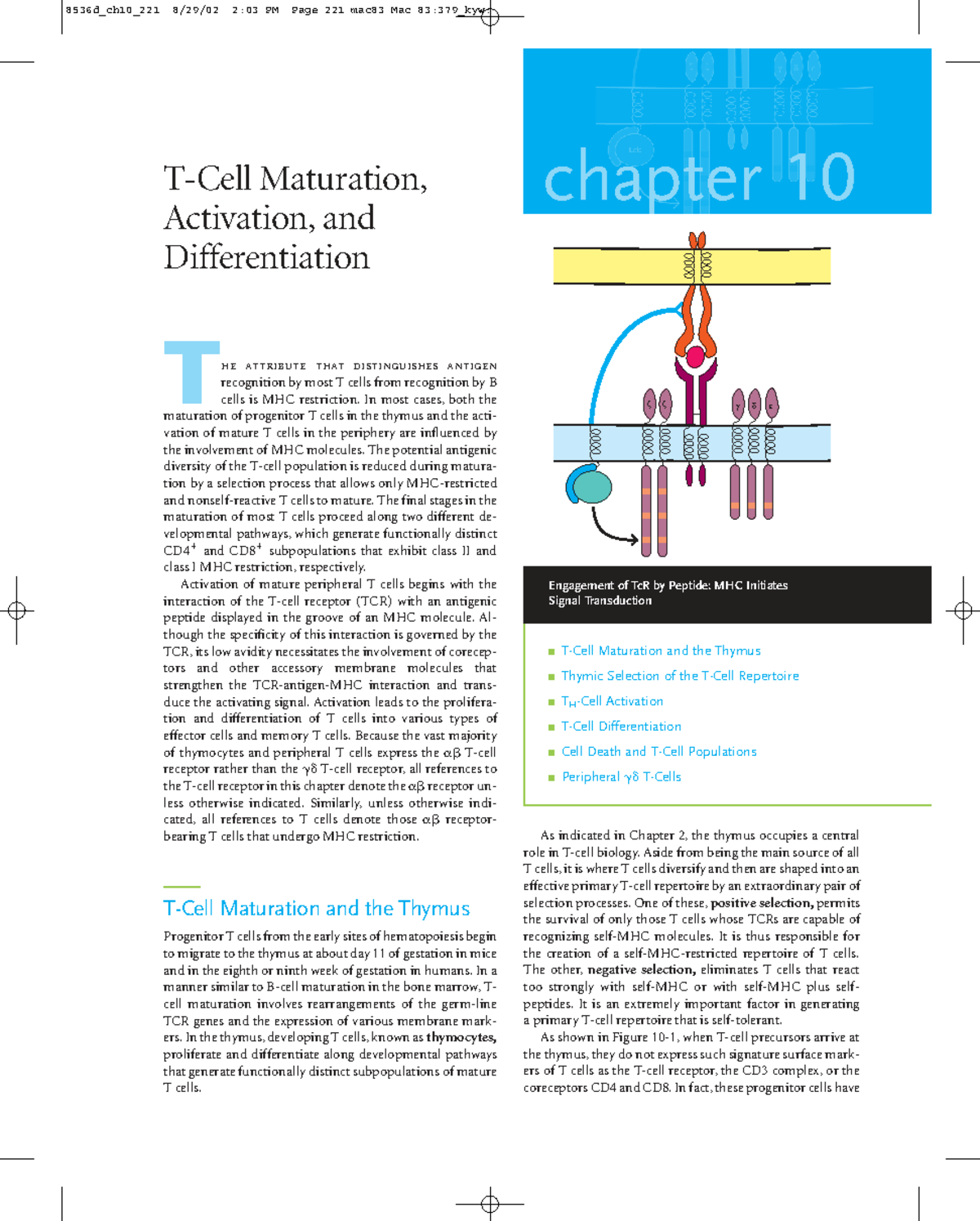 T Cell Maturation, Activation, and Differentiation - Notes 6309 UNIT IV ...