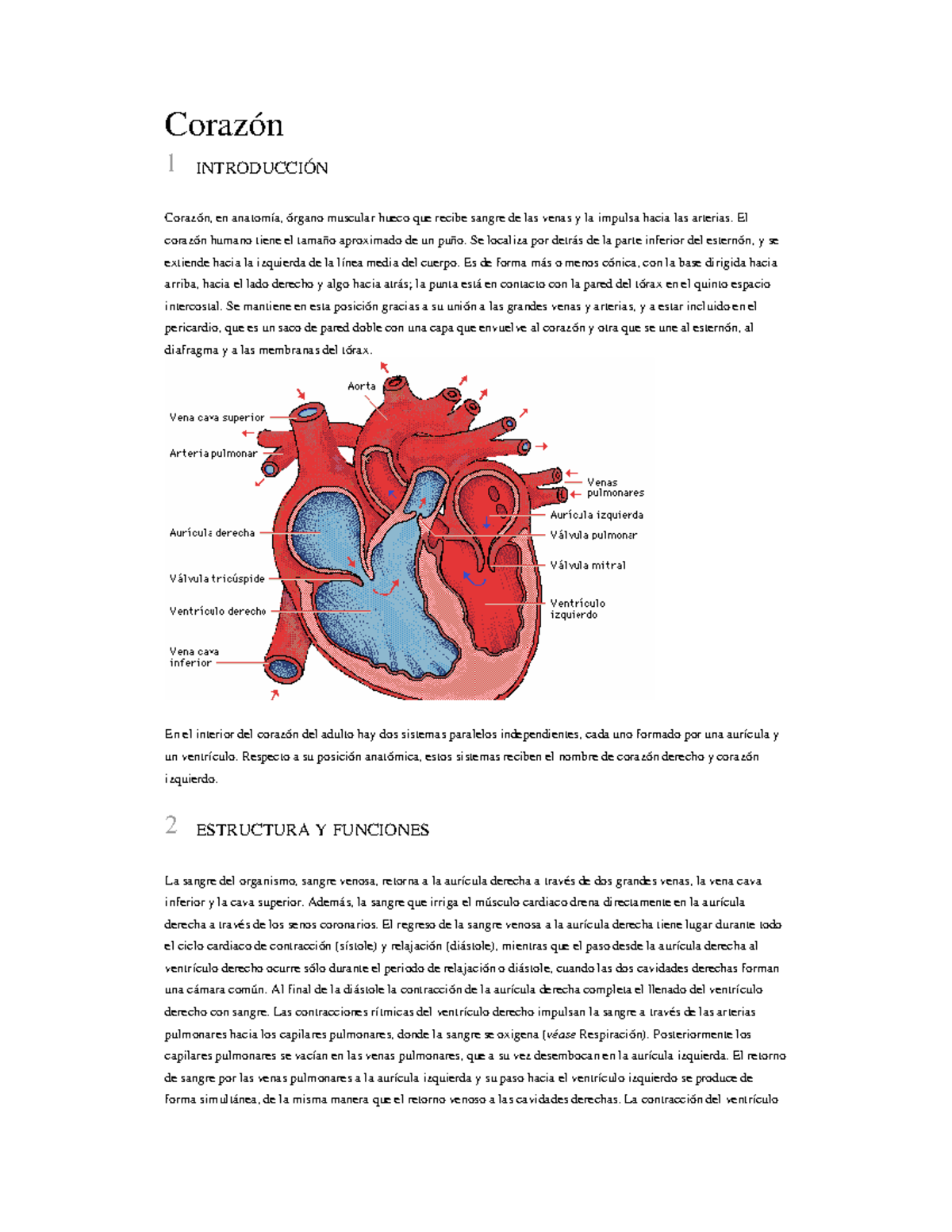 Estructura y Funciones del Corazón: Anatomía y Diagnóstico - Studocu