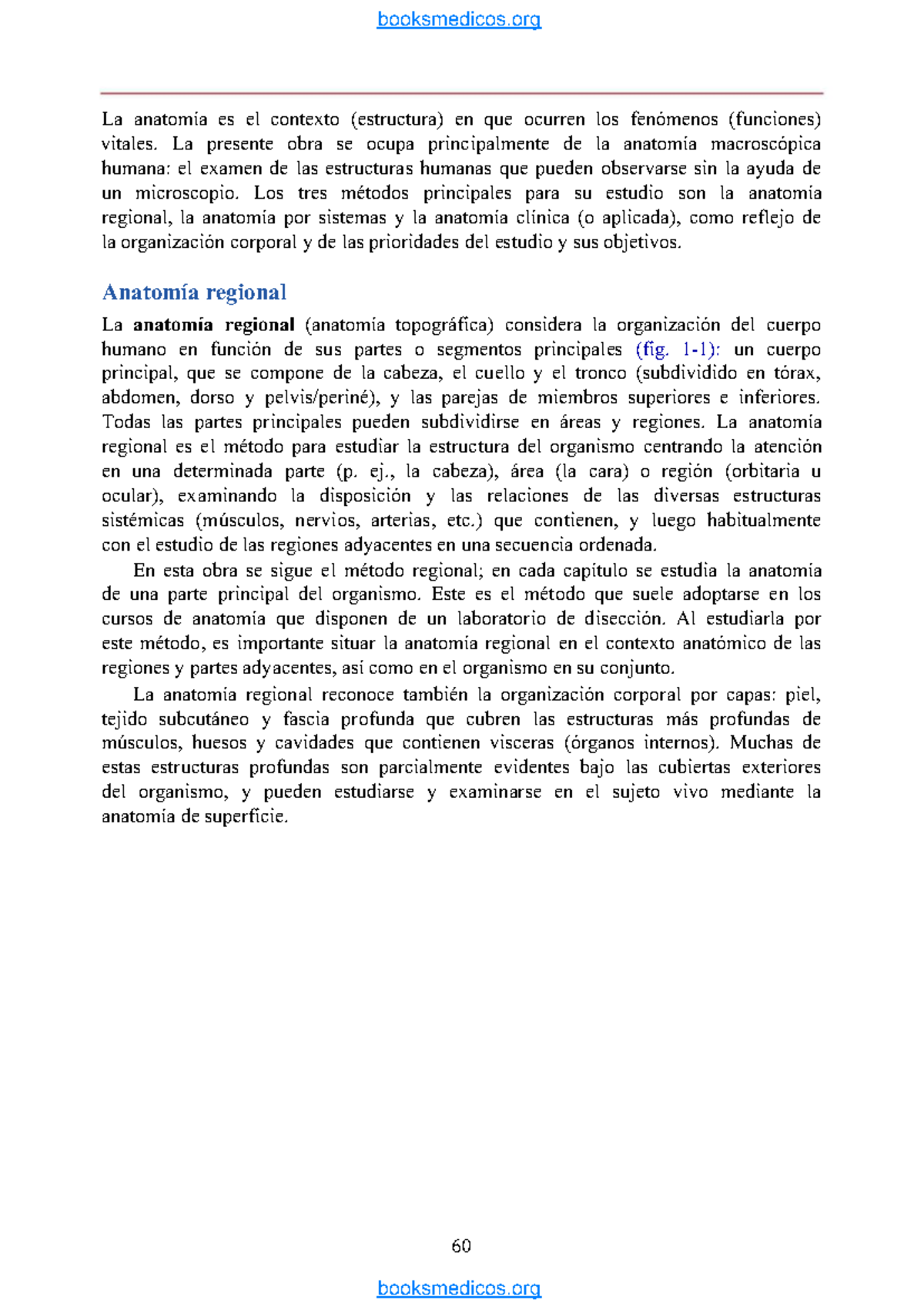 1er Bloque: Anatomía Macroscópica Humana - Moore - Studocu