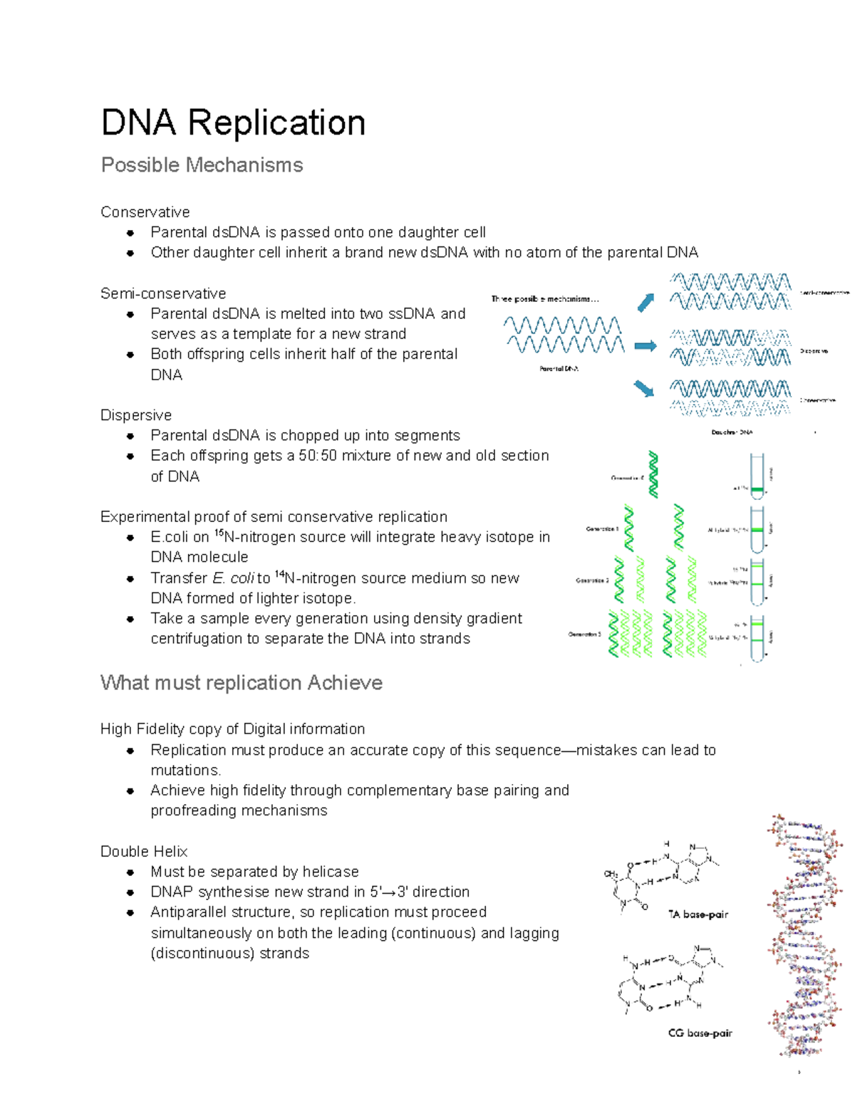 11. DNA Replication - Lecture note - DNA Replication Possible ...
