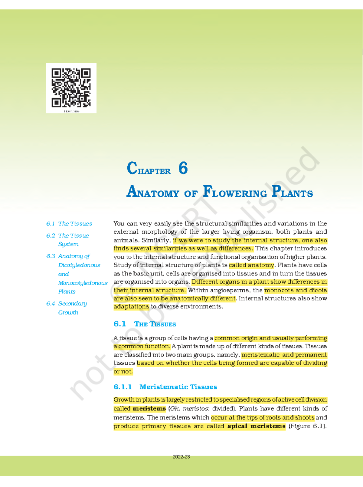 84 BIOLOGY CHAPTER 6 ANATOMY OF FLOWERING PLANTS: Tissues & Growth ...