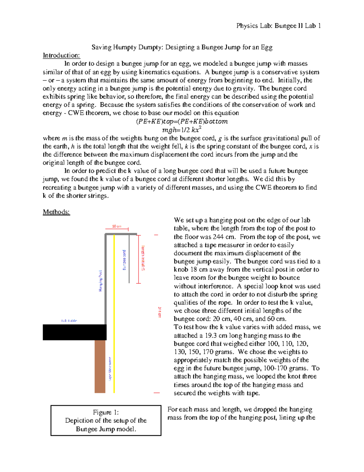 Saving Humpty Dumpty: Bungee Jump Design for an Egg Experiment - Studocu