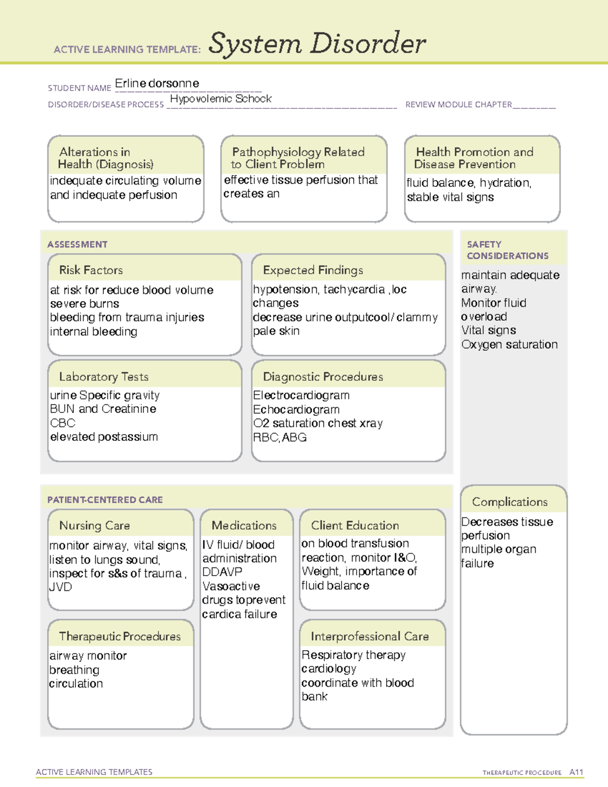 System Disorder: Active Learning Template for Nursing Care - Studocu