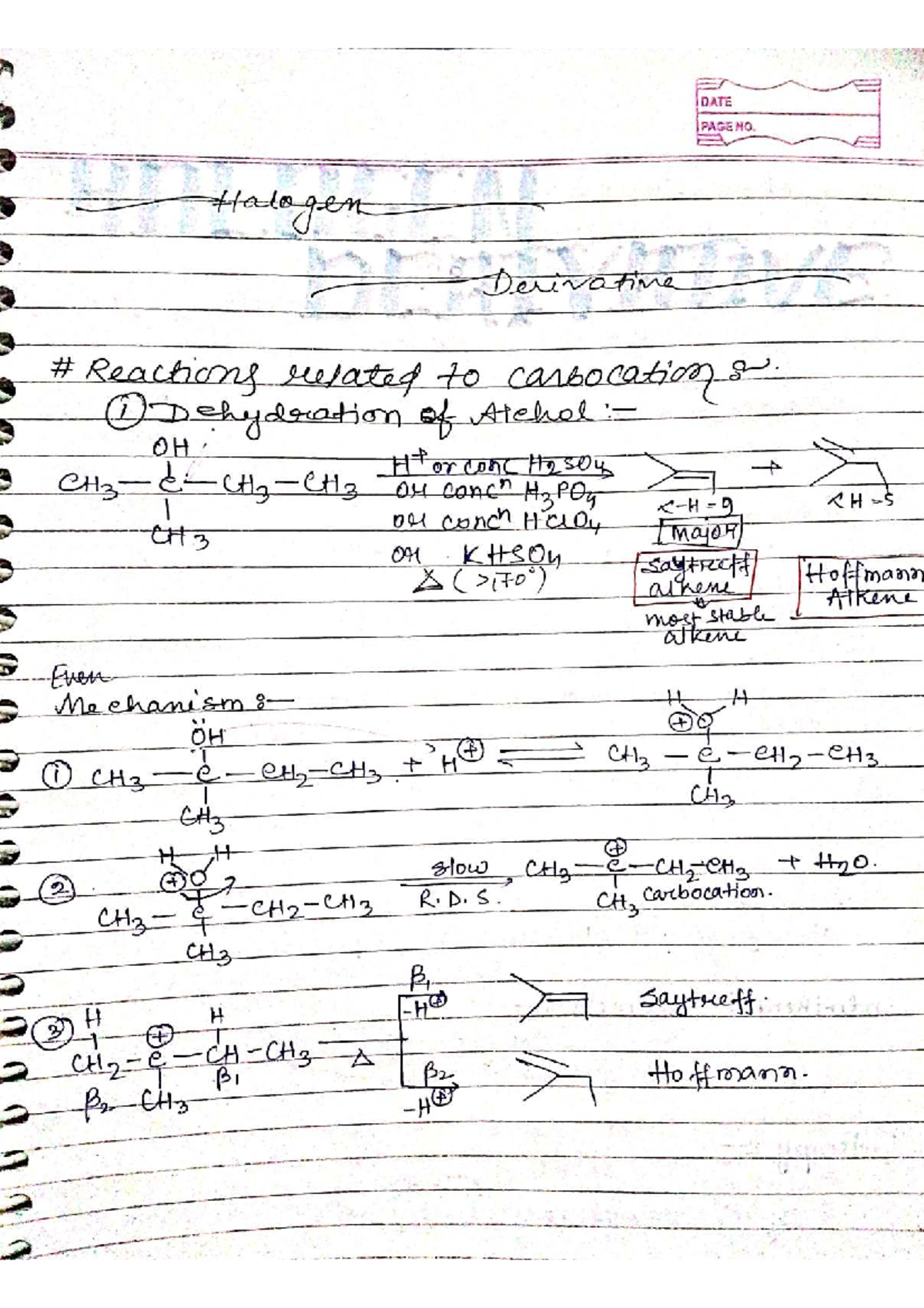 CHEM 301: Halogen Derivative Reactions and Carbocation Mechanisms - Studocu