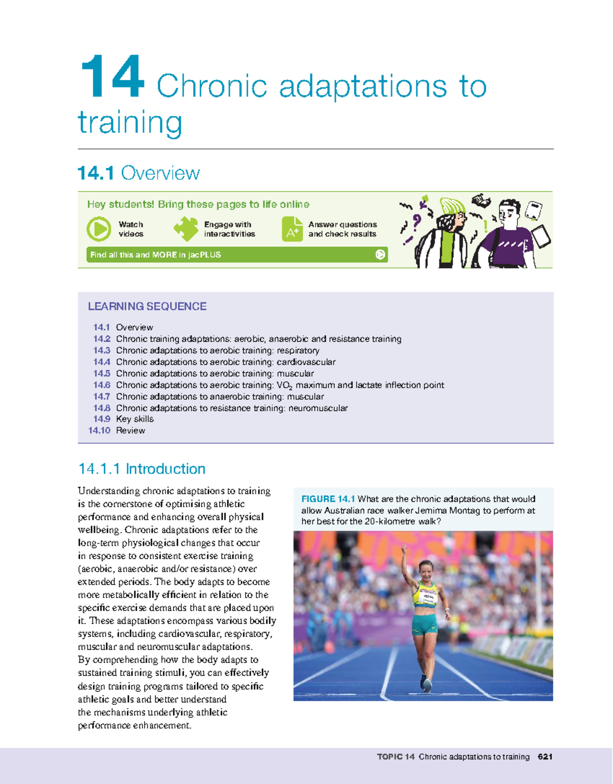 C14 Chronic Adaptations to Training: Aerobic, Anaerobic & Resistance ...