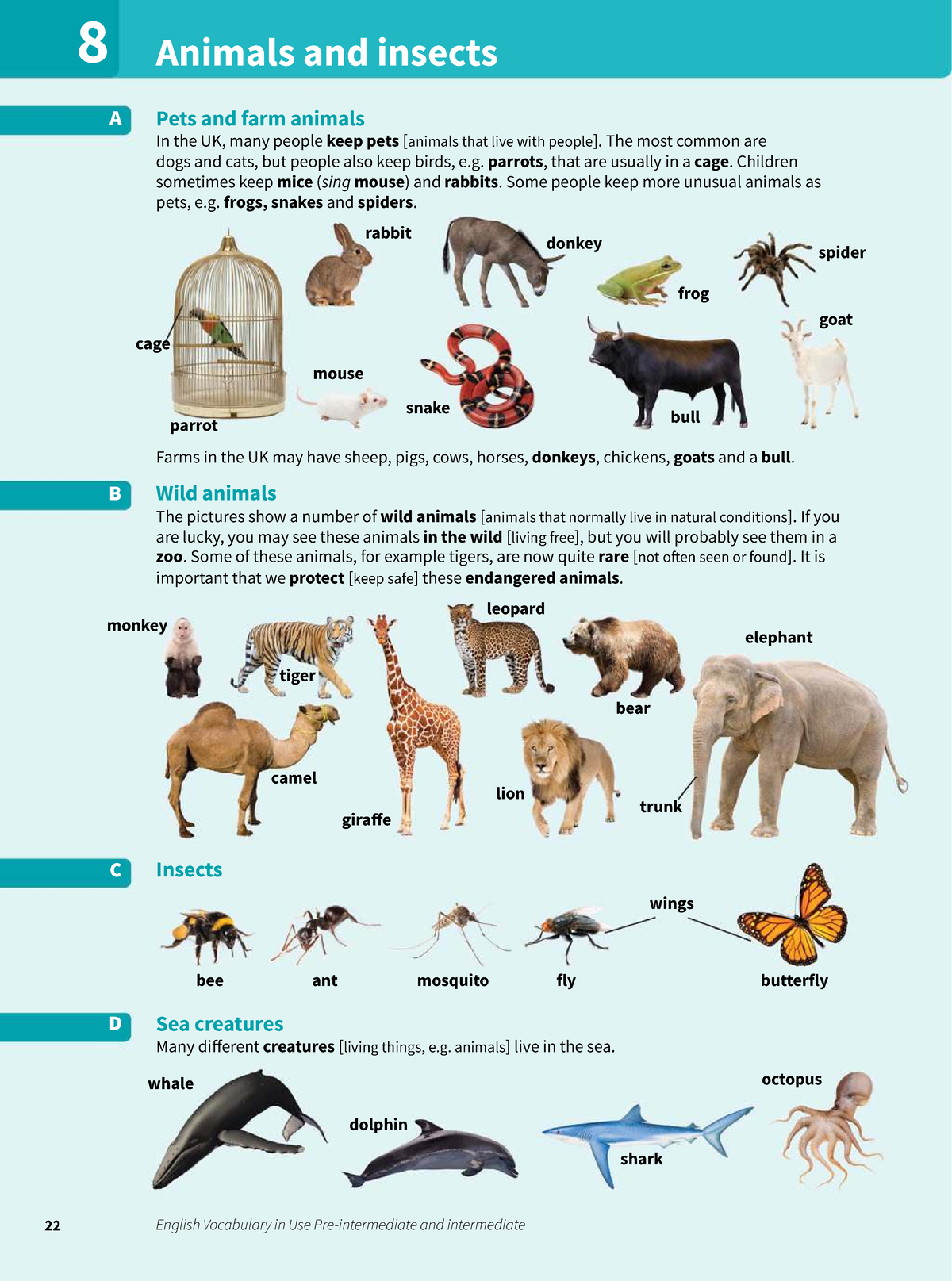 B2 Vocabulary: Animals, Insects, and Describing Appearance - Studocu