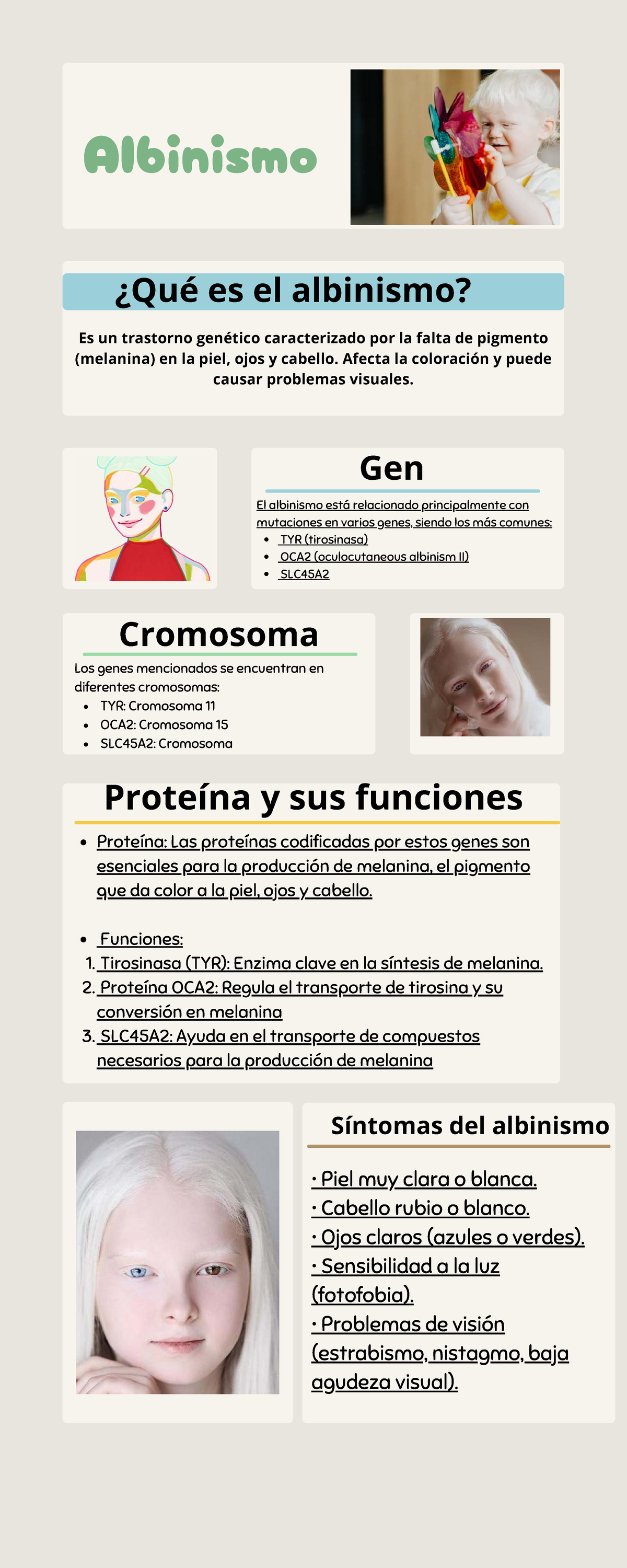 Infografía sobre el albinismo: características y síntomas - Studocu