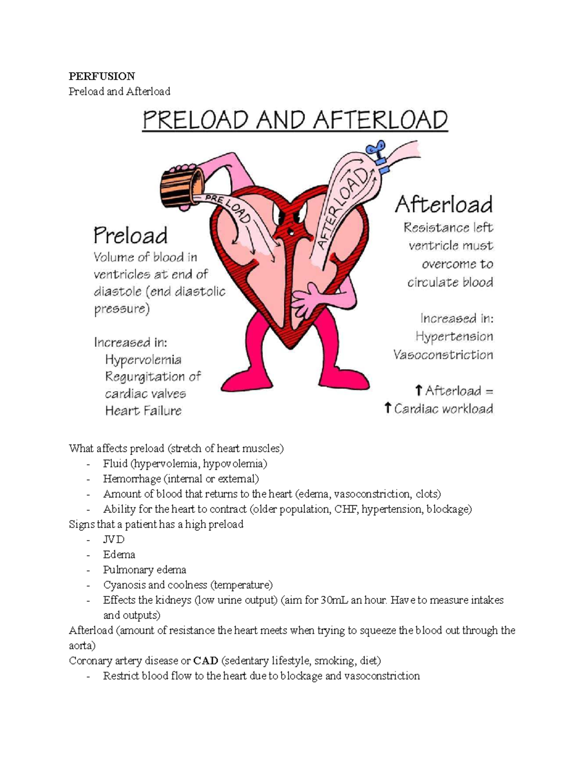 Perfusion - Class notes on preload and afterload effects - Studocu