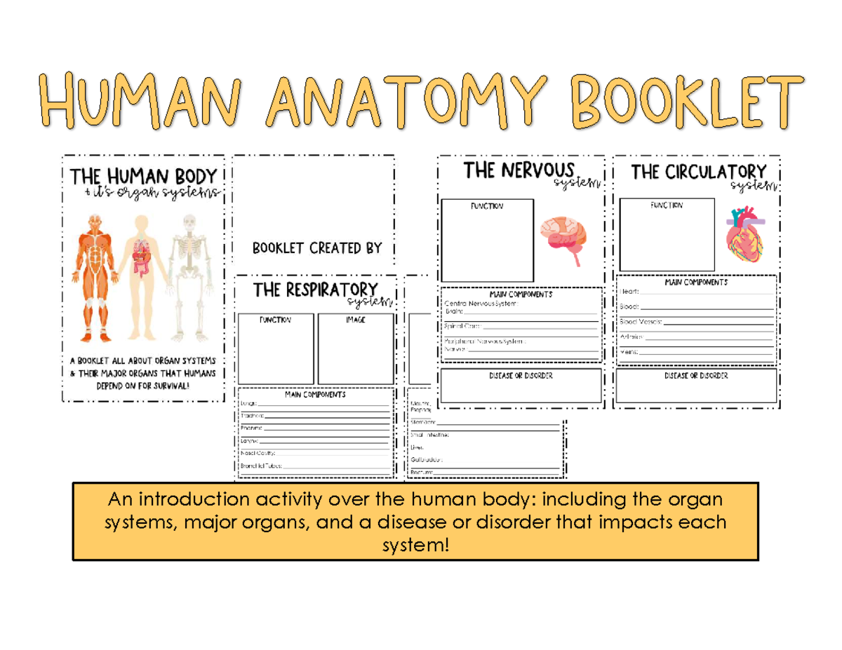 Human Body Booklet: Intro to Organ Systems & Related Disorders - Studocu