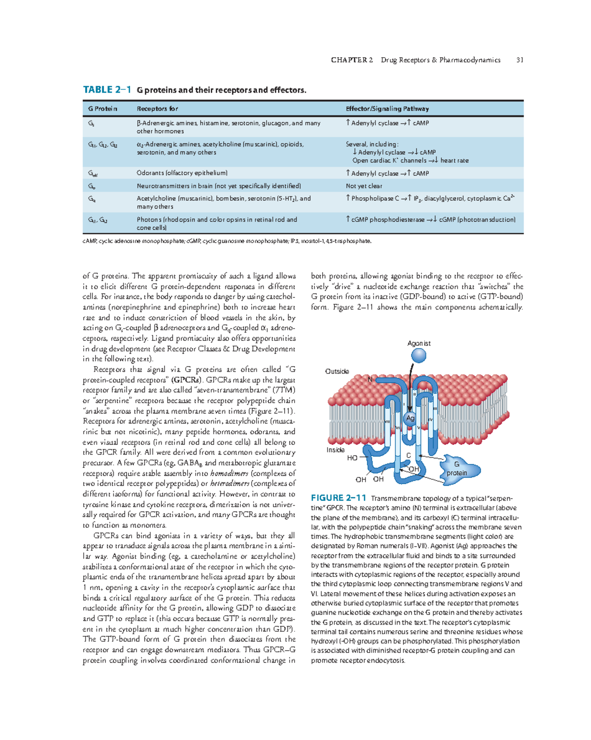 Pharmacology 4: Chapter 2 - Drug Receptors and Pharmacodynamics ...