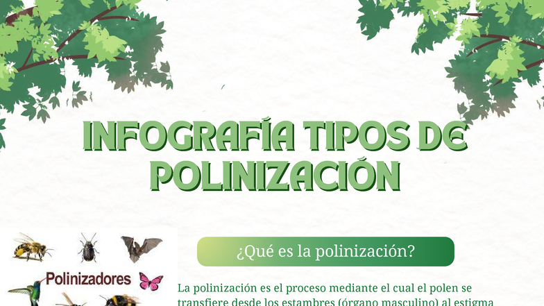 Infografía sobre Tipos de Polinización y sus Métodos - Studocu