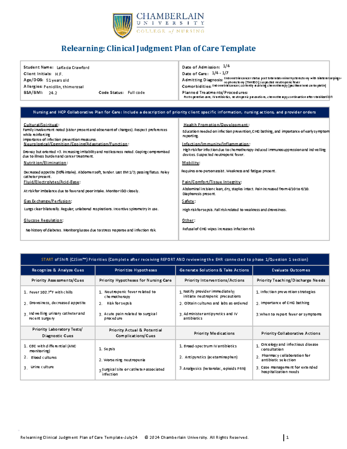Relearning: Clinical Judgment Care Plan Template for Sim Hermosa 2024 ...