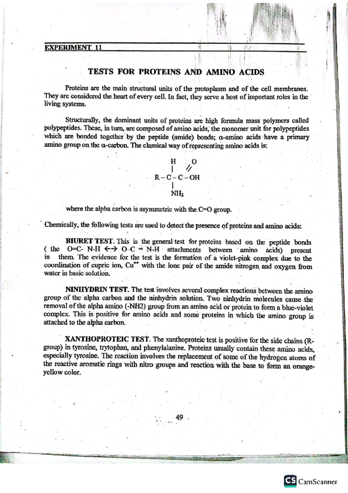 Experiment 11: Tests for Proteins and Amino Acids - Studocu