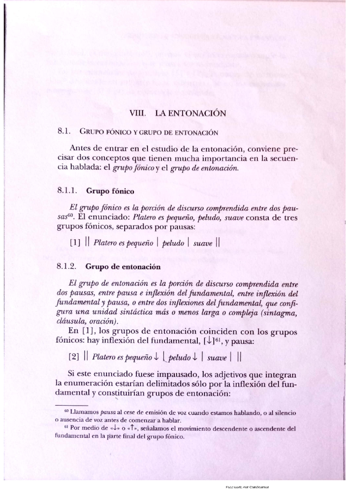 La entonación - LA ENTONACIÓN 8. GRUPO FÓNICO Y GRUPO DE ENTONACIÓN ...