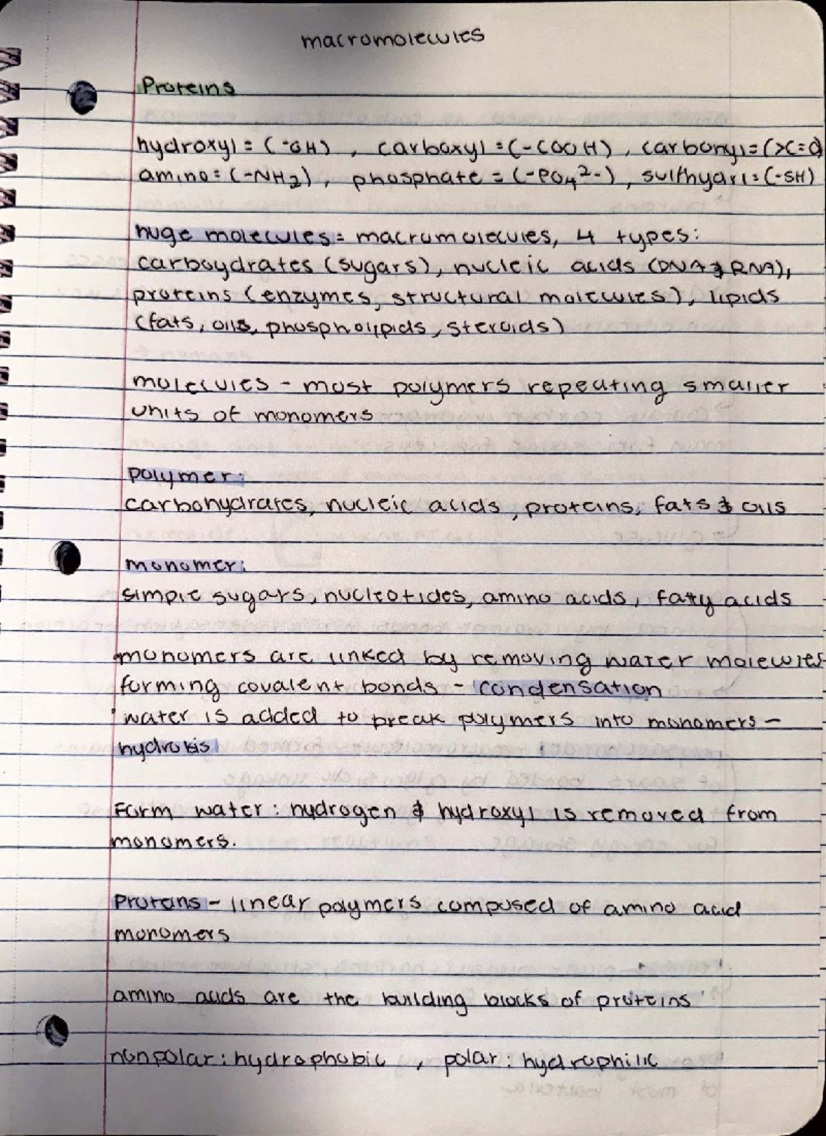 Final Exam Revision Notes: Comprehensive Overview and Key Topics -4 ...