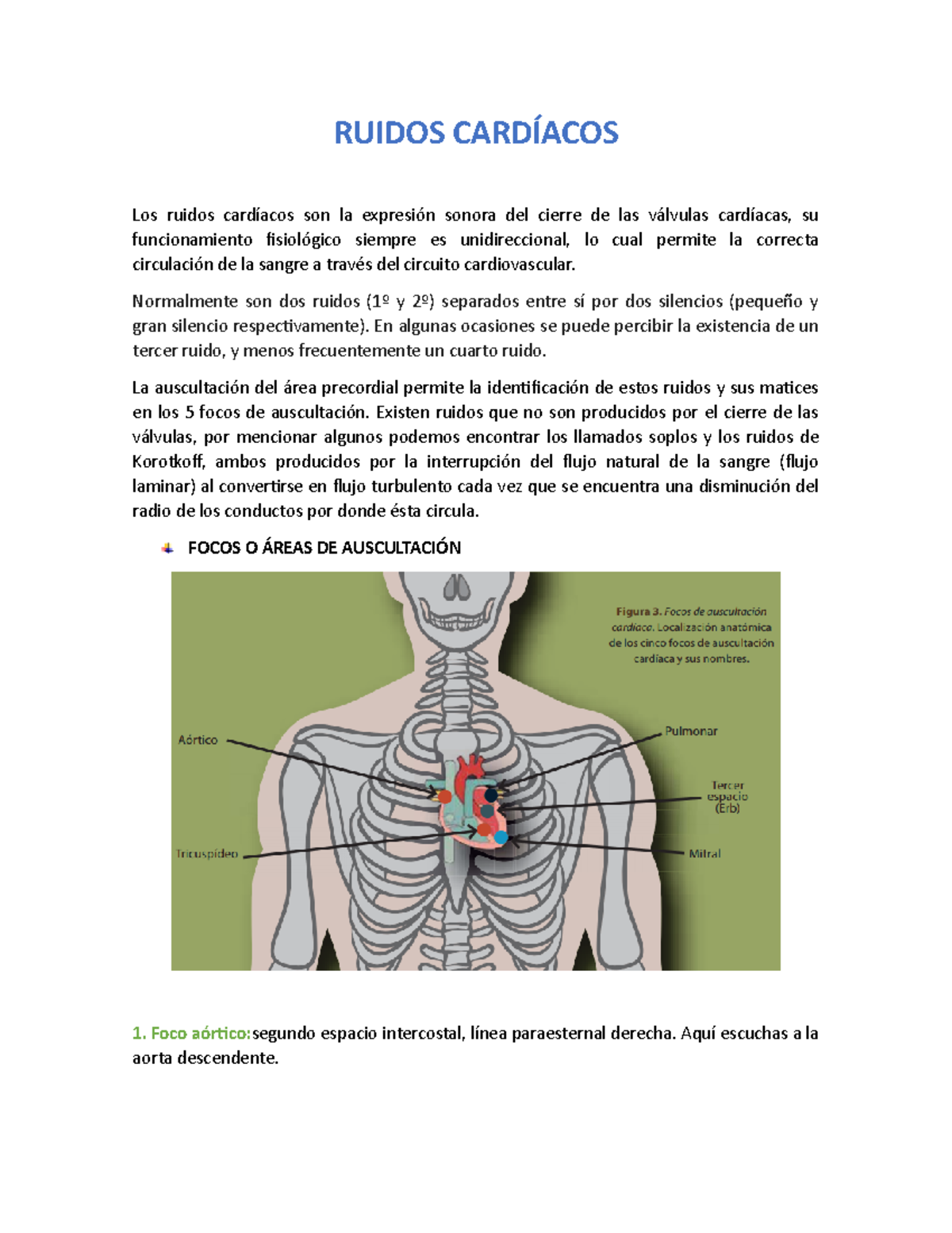 Ruidos Cardíacos: Investigación sobre Auscultación y Patologías - Studocu