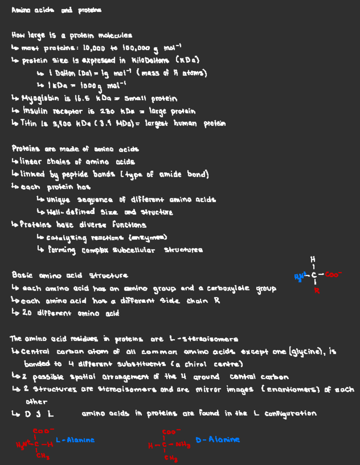 Amino Acids and Proteins: Structure, Function, and Analysis (BIO 101 ...