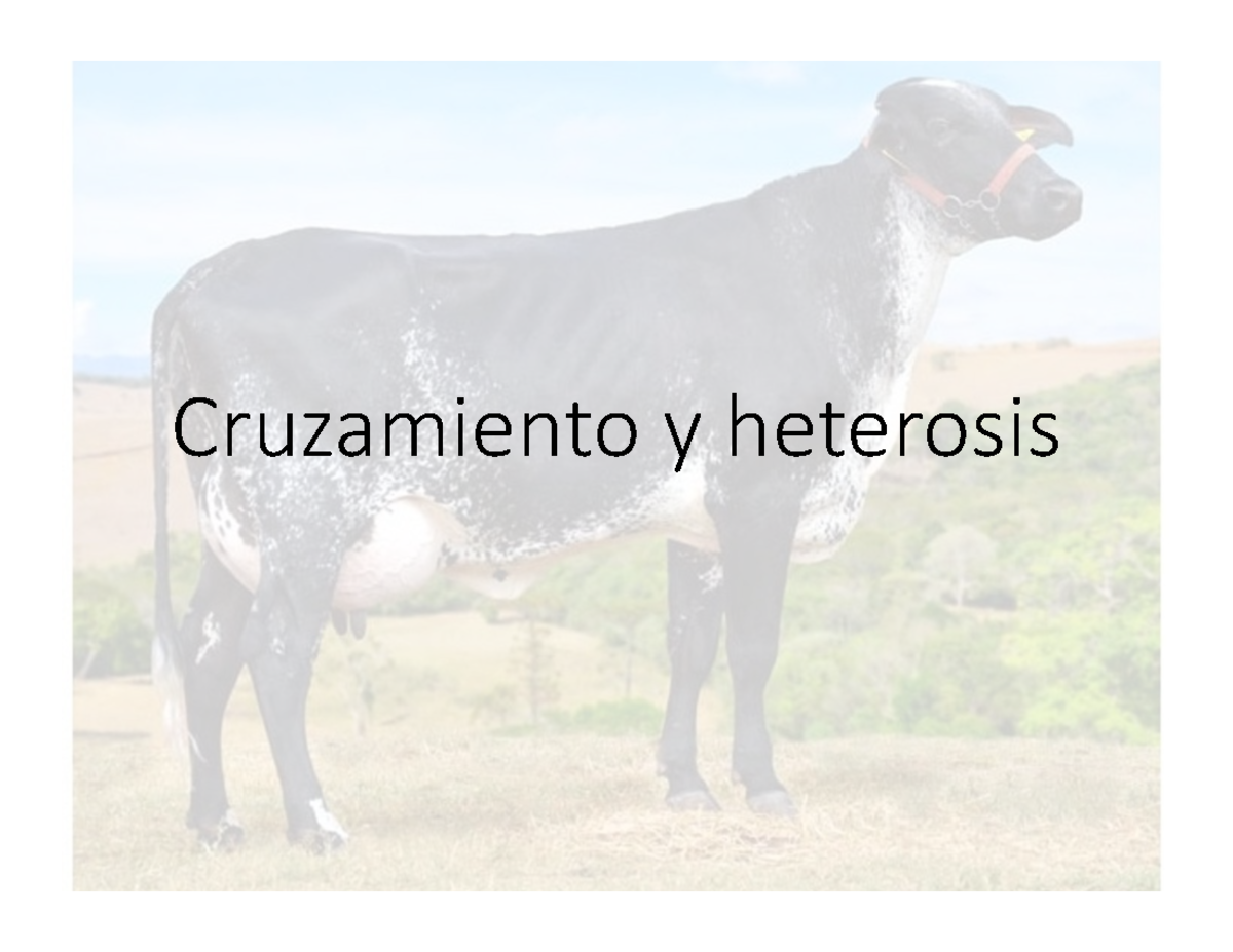 Cruzamiento y Heterosis en Reproducción Animal - Notas de Estudio - Studocu