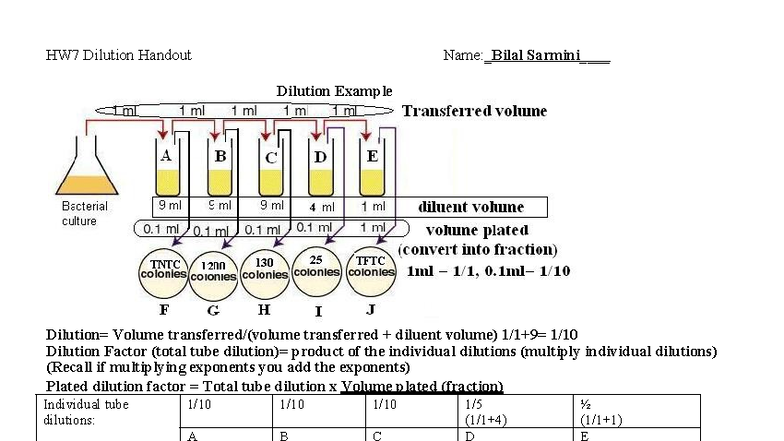 HW7 Dilution Practice & Titer Calculation - Bilal Sarmini - Studocu
